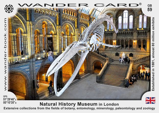 Natural History Museum London Telephone Number - Infoupdate.org